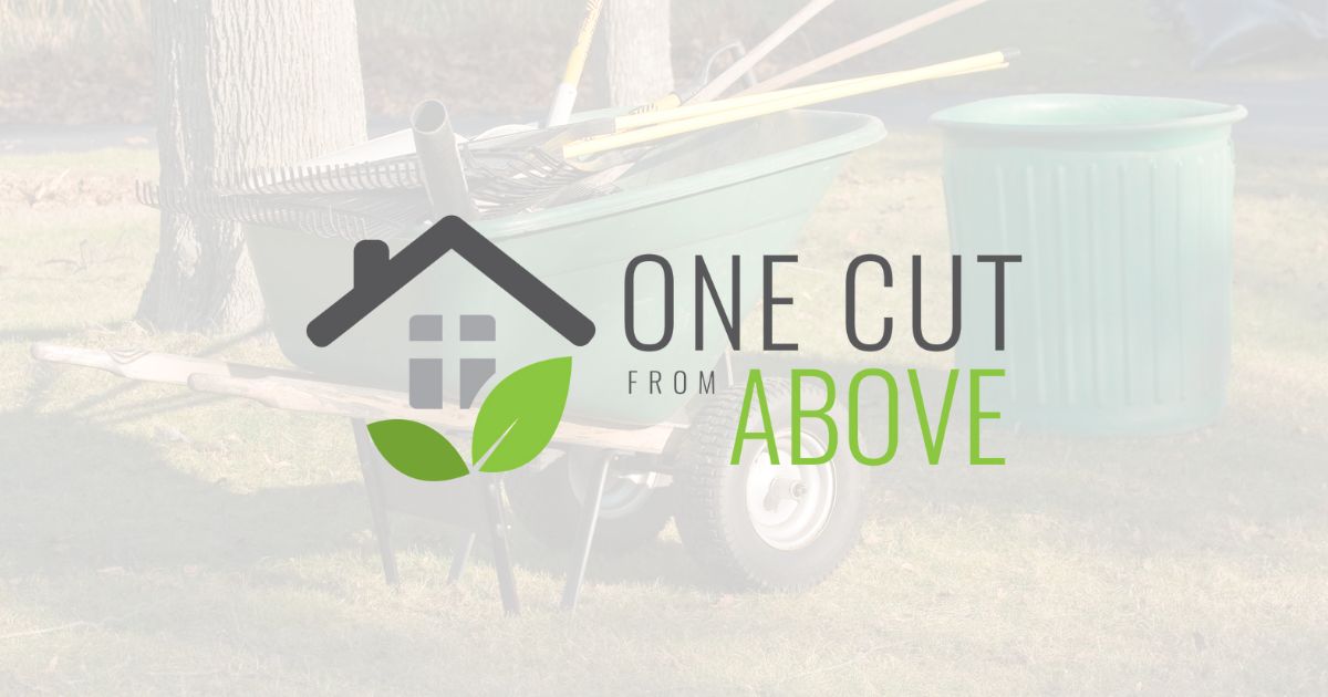 #1 Property Cleanup Service in Orange Park, FL