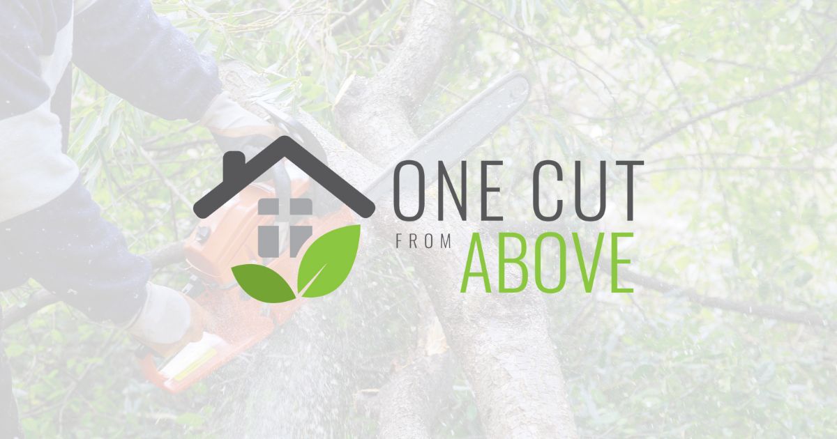 The #1 For Tree Removal in Orange Park, FL | Free Estimates